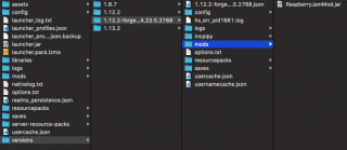 【Minecraft】Raspberry Jam Modをいれますよ〜 - hecaton's